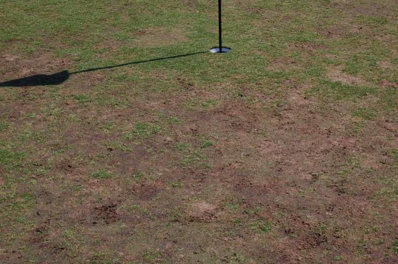How to Putt on a Crap Green - SOCAL Golfer