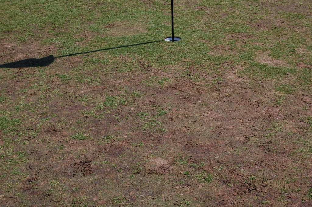 How to Putt on a Crap Green - SOCAL Golfer