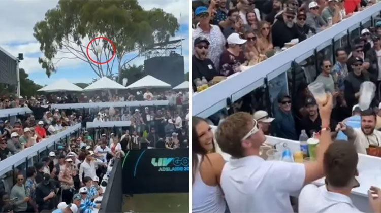 Watch: LIV Golf fan snags beer out of the air like prime Stone Cold ...
