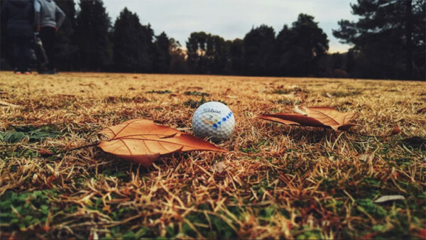 The little-known lost ball rule that could save your golf round this ...
